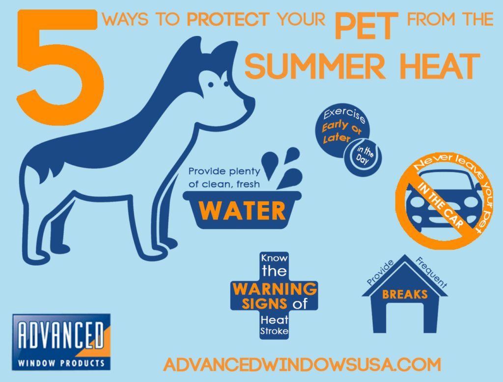 5 Ways to Protect Your Pet From the Summer Heat - Advanced Window Products 5 Ways to Protect Your Pet From the Summer Heat - Advanced Window Products